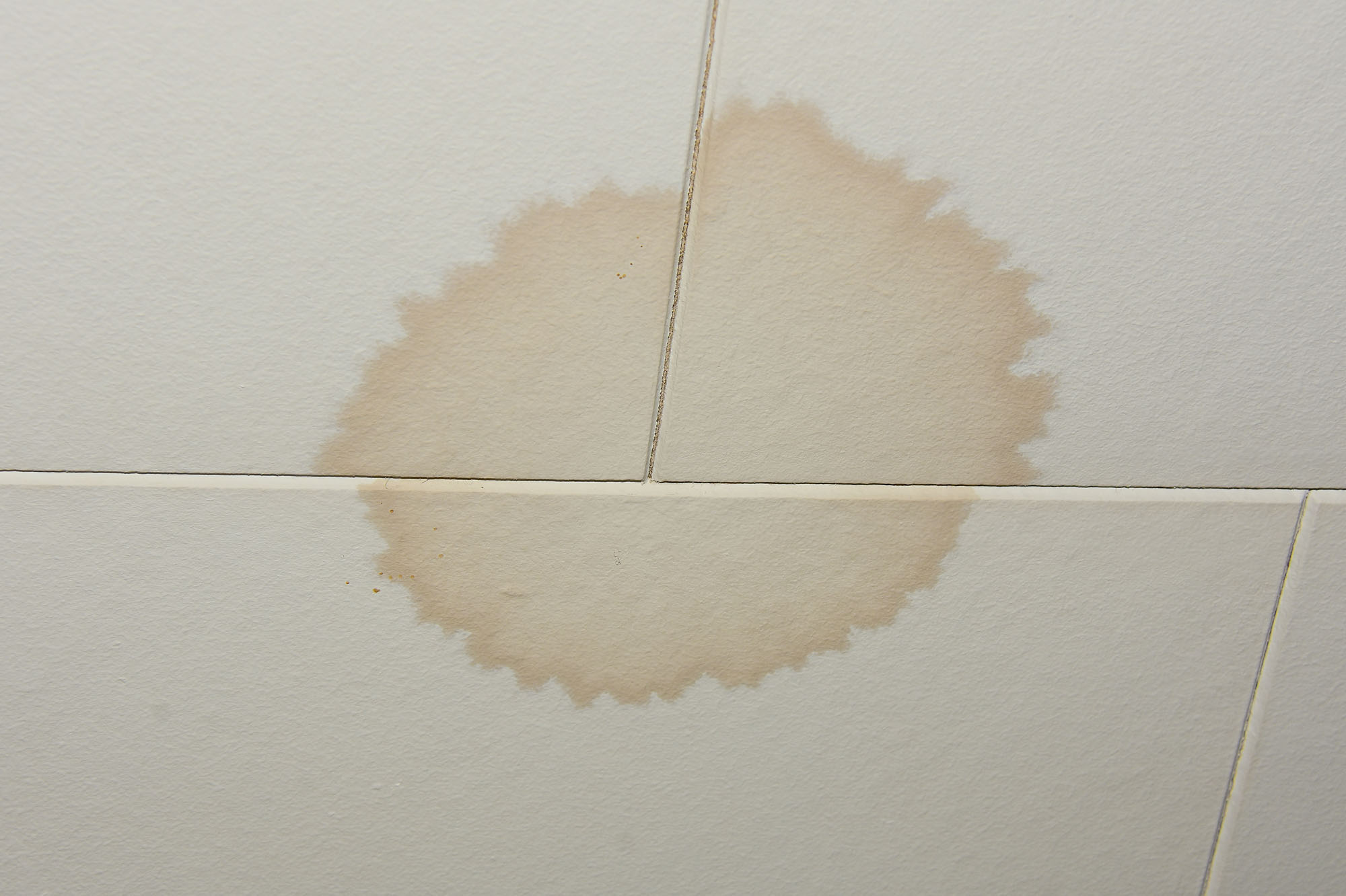 Fix-it-yourself: Ceiling water stains – Recette Magazine
