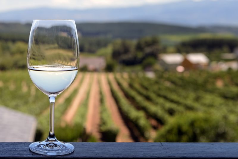 A beginners guide to Verdejo wine – Recette Magazine
