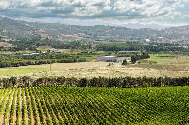 A beginners guide to wine: Climate – Recette Magazine