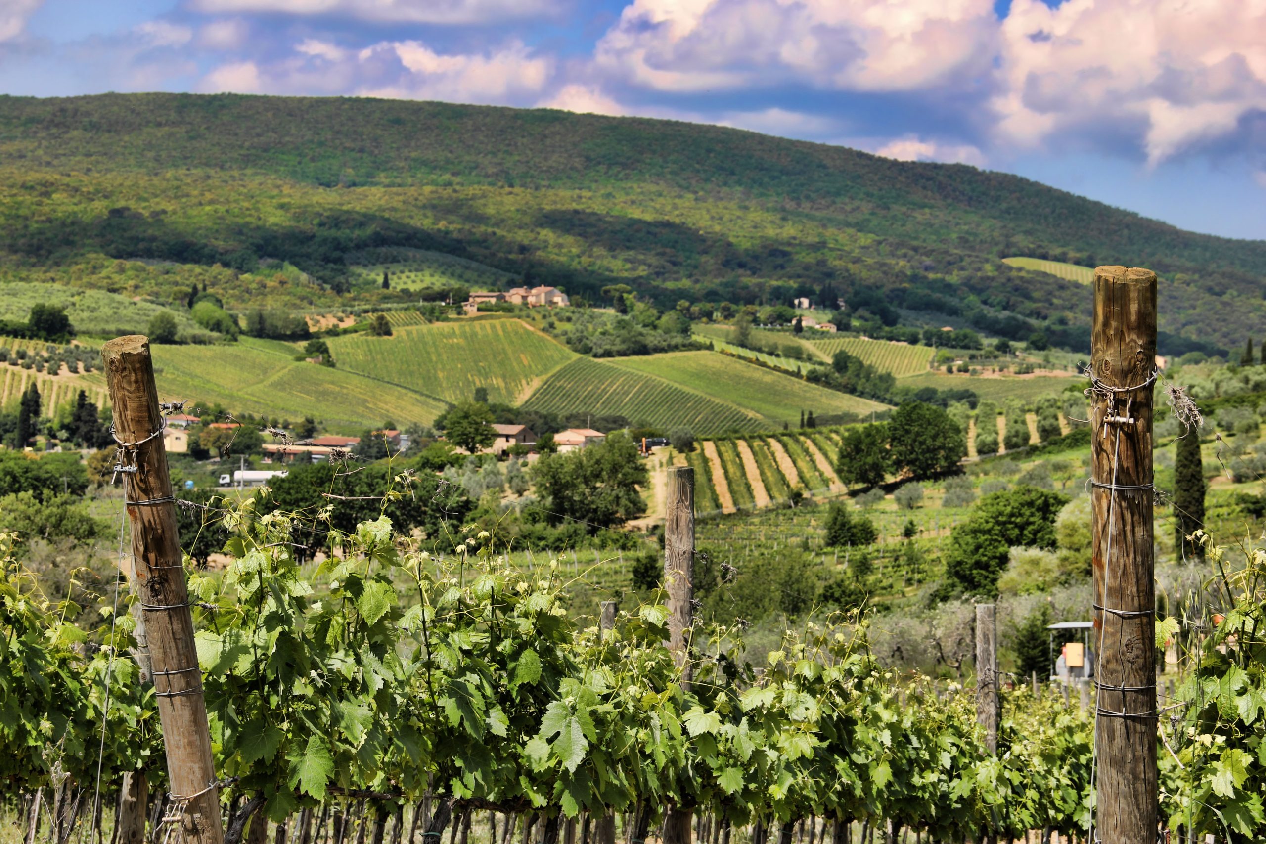 A Beginners Guide to Soave Wine – Recette Magazine