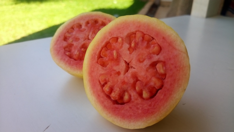 What are Guavas? – Recette Magazine