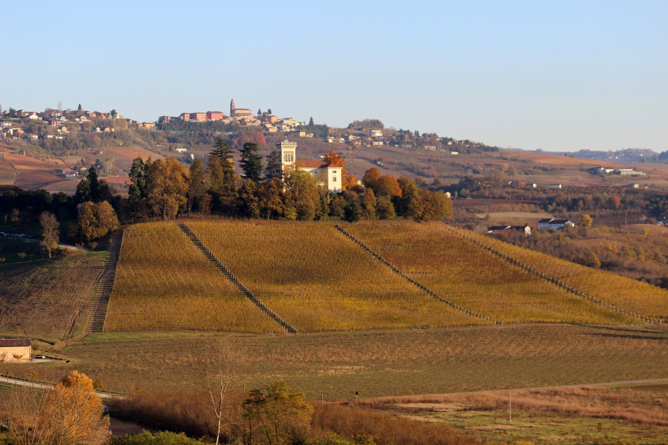 Beginners Guide to Barolo Wine – Recette Magazine