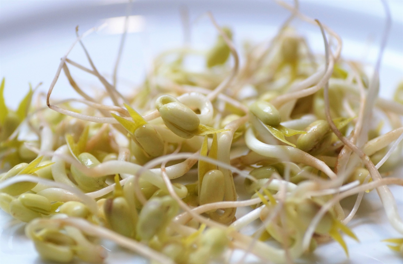 What are Mung Beans? – Recette Magazine