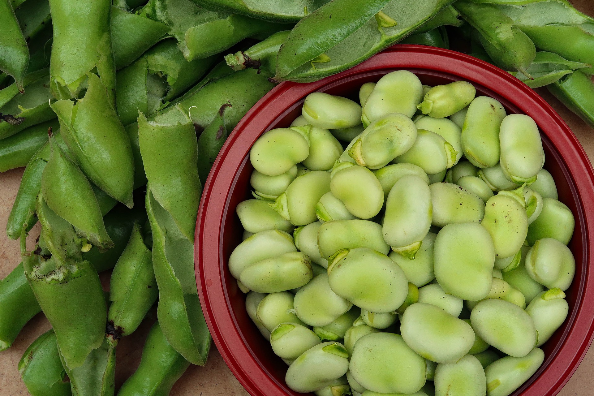 Ingredients We’re Loving: Fava Beans – Recette Magazine