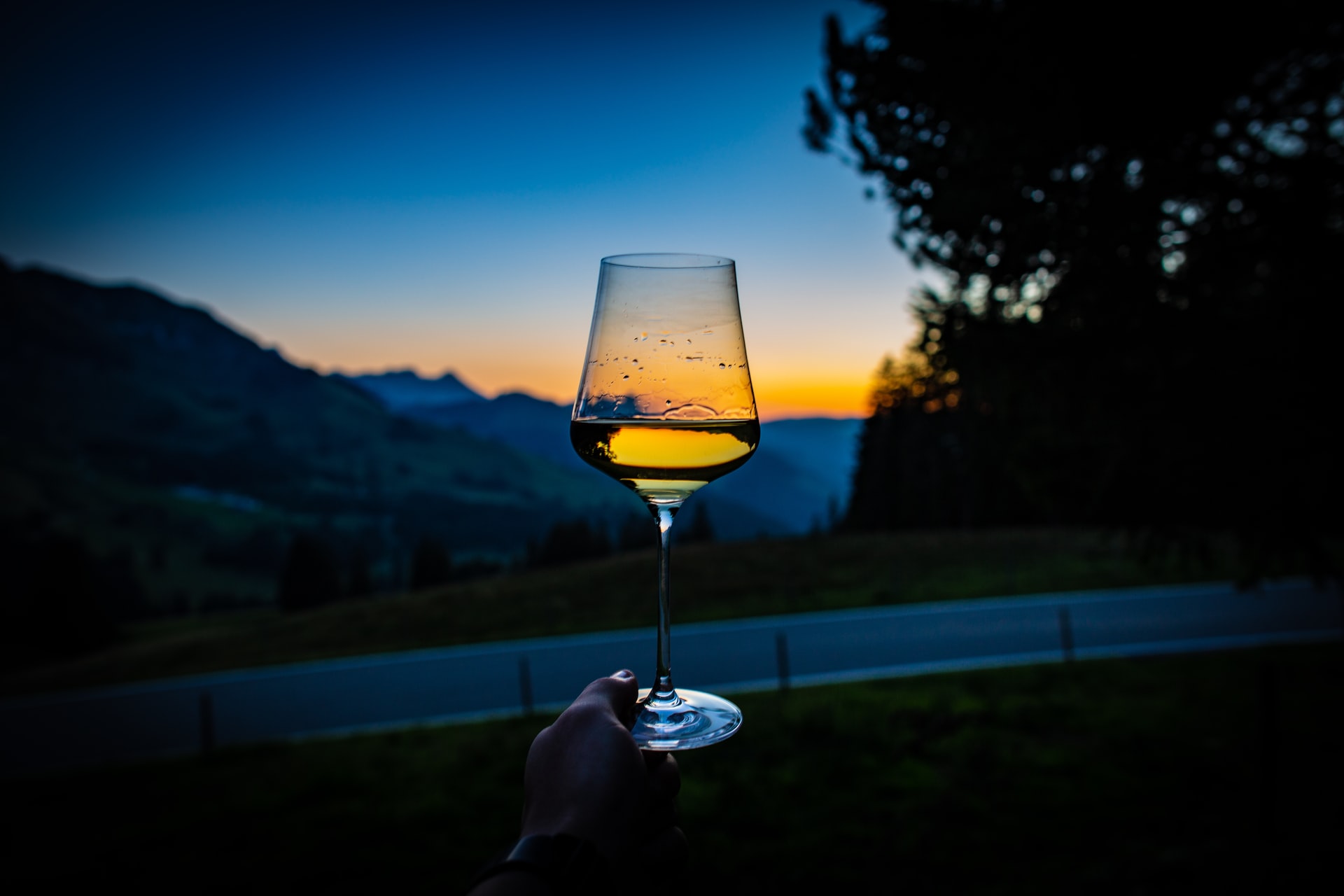 A Beginner’s Guide to California Wine – Recette Magazine