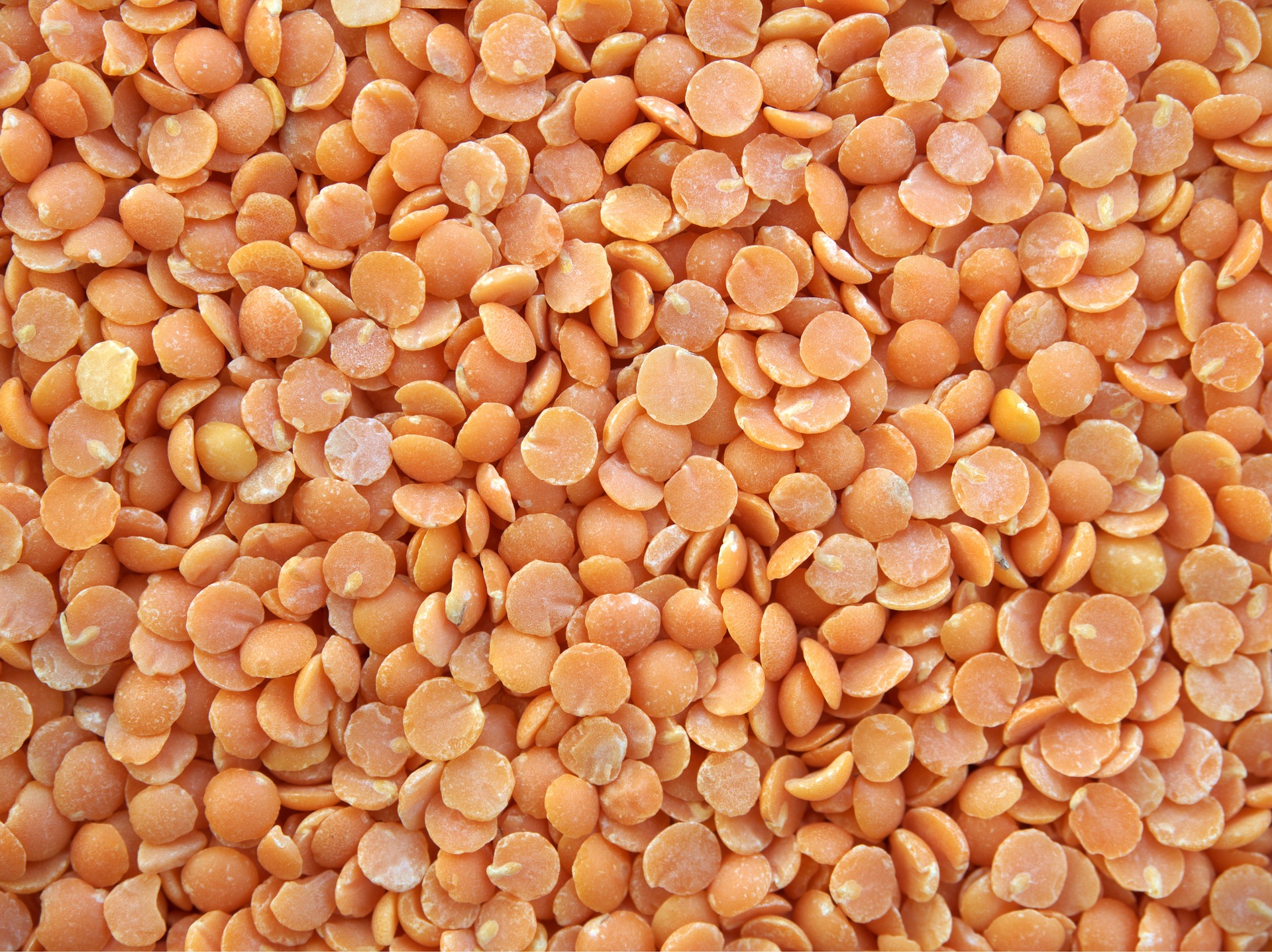 How to Cook Red Lentils – Recette Magazine
