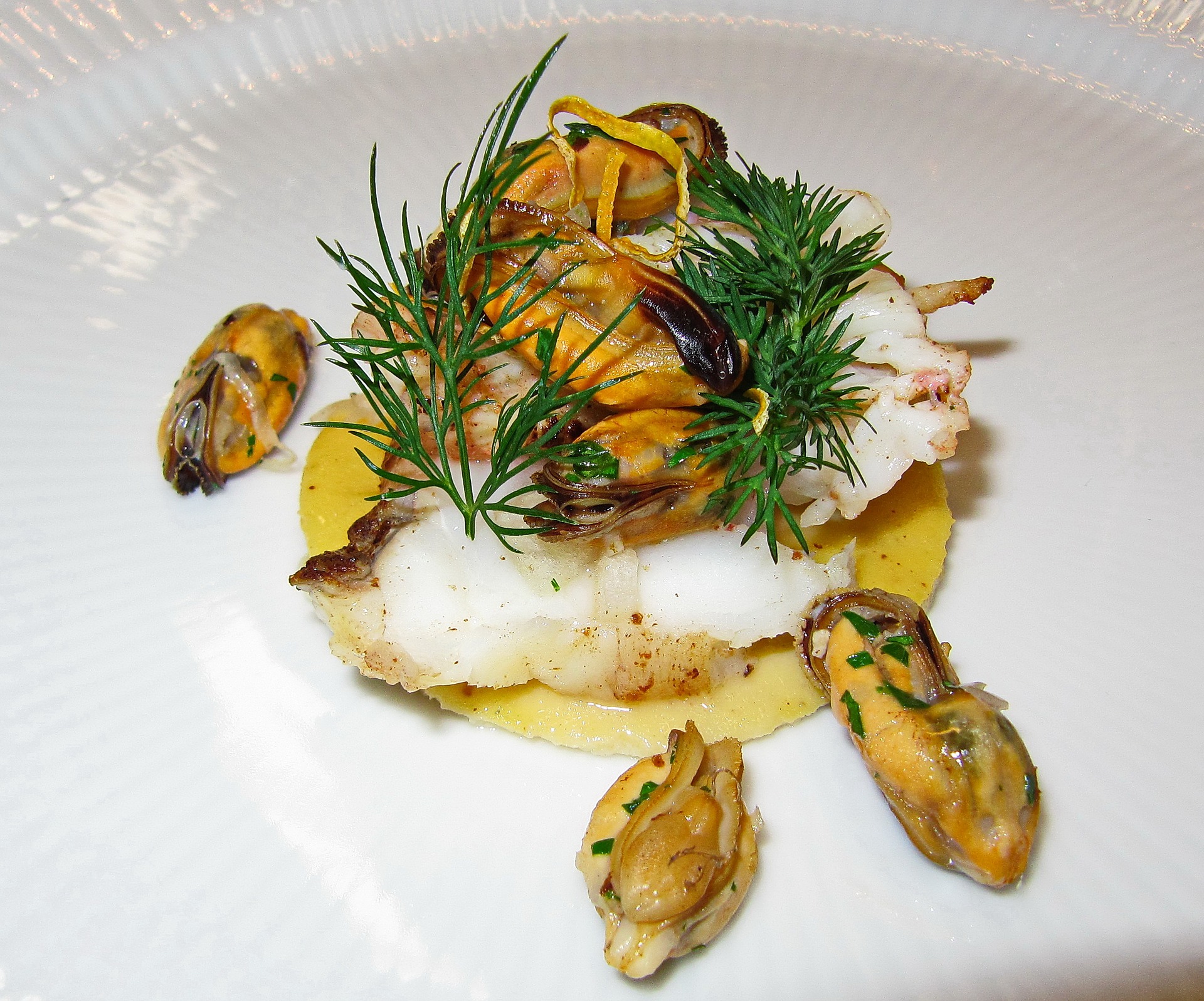 How to Source, Cook, and Enjoy Monkfish – Recette Magazine