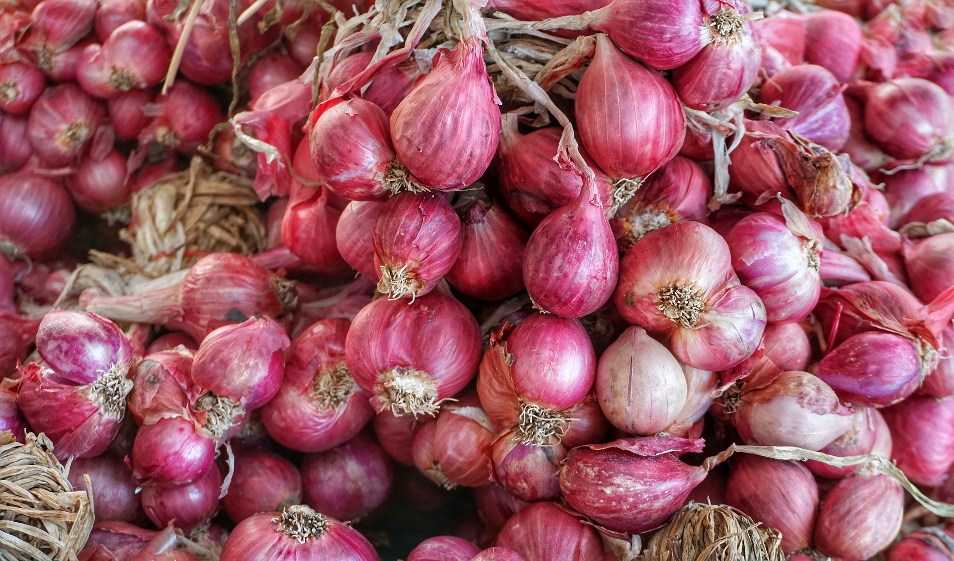 All About Shallots – Recette Magazine