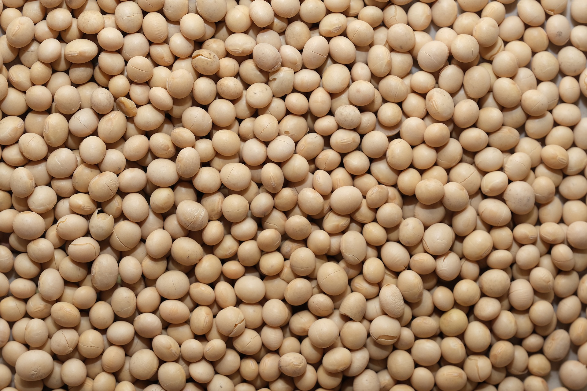 Cooking with Soybeans – Recette Magazine