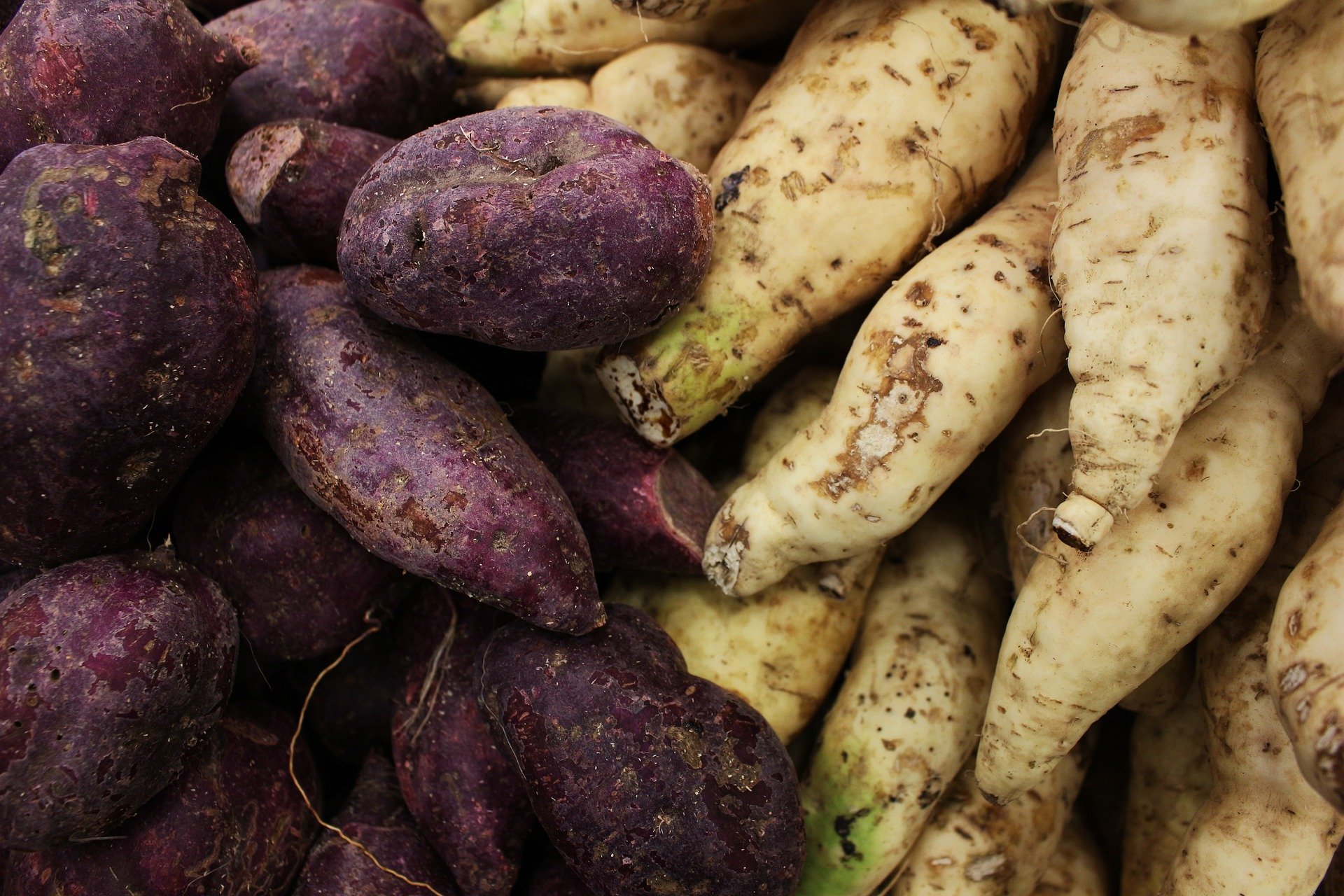 Understanding Ube: How to Use Purple Yam in Your Kitchen – Recette Magazine