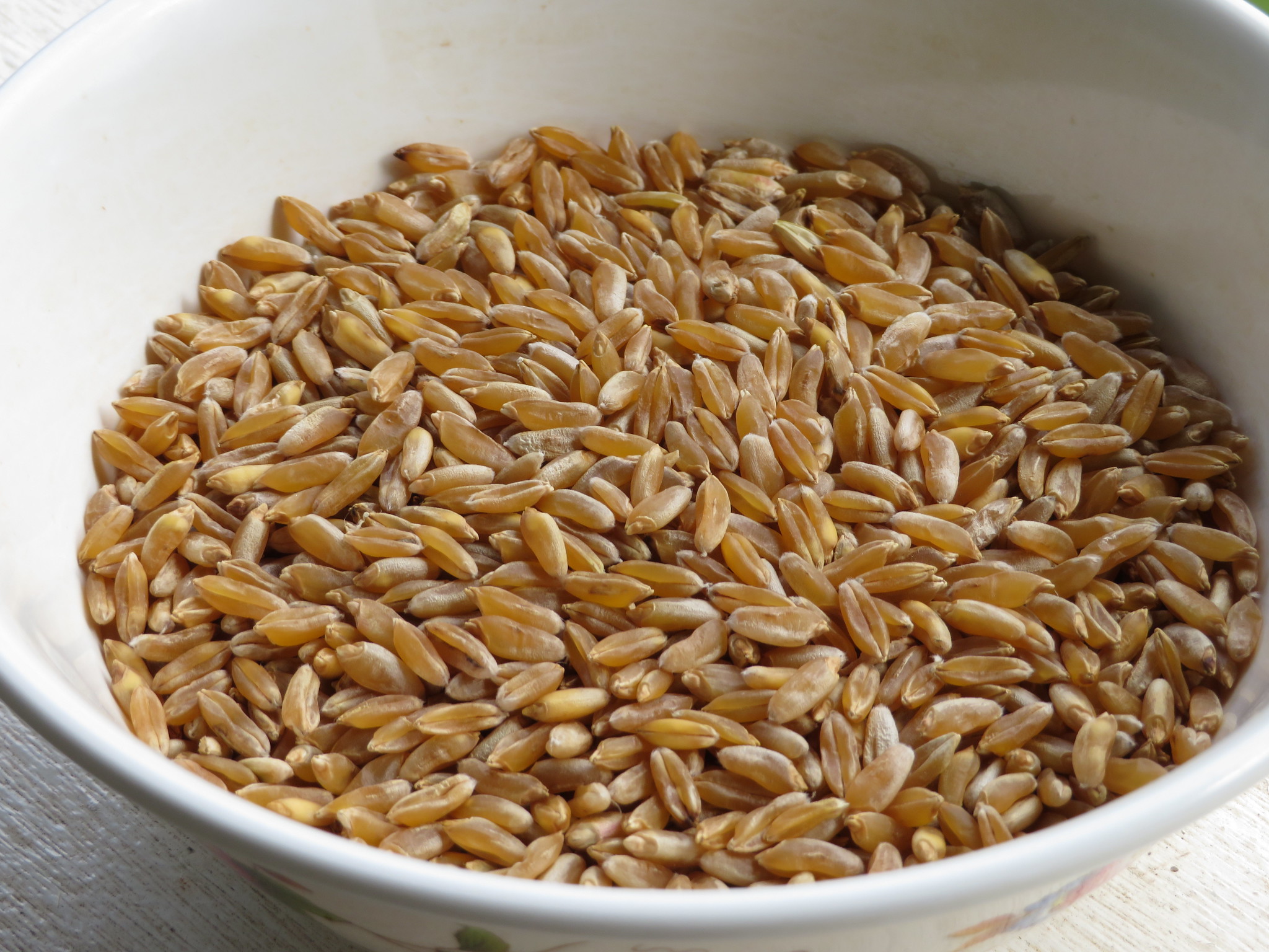 Cooking with Kamut: The Grain of the Pharaohs – Recette Magazine
