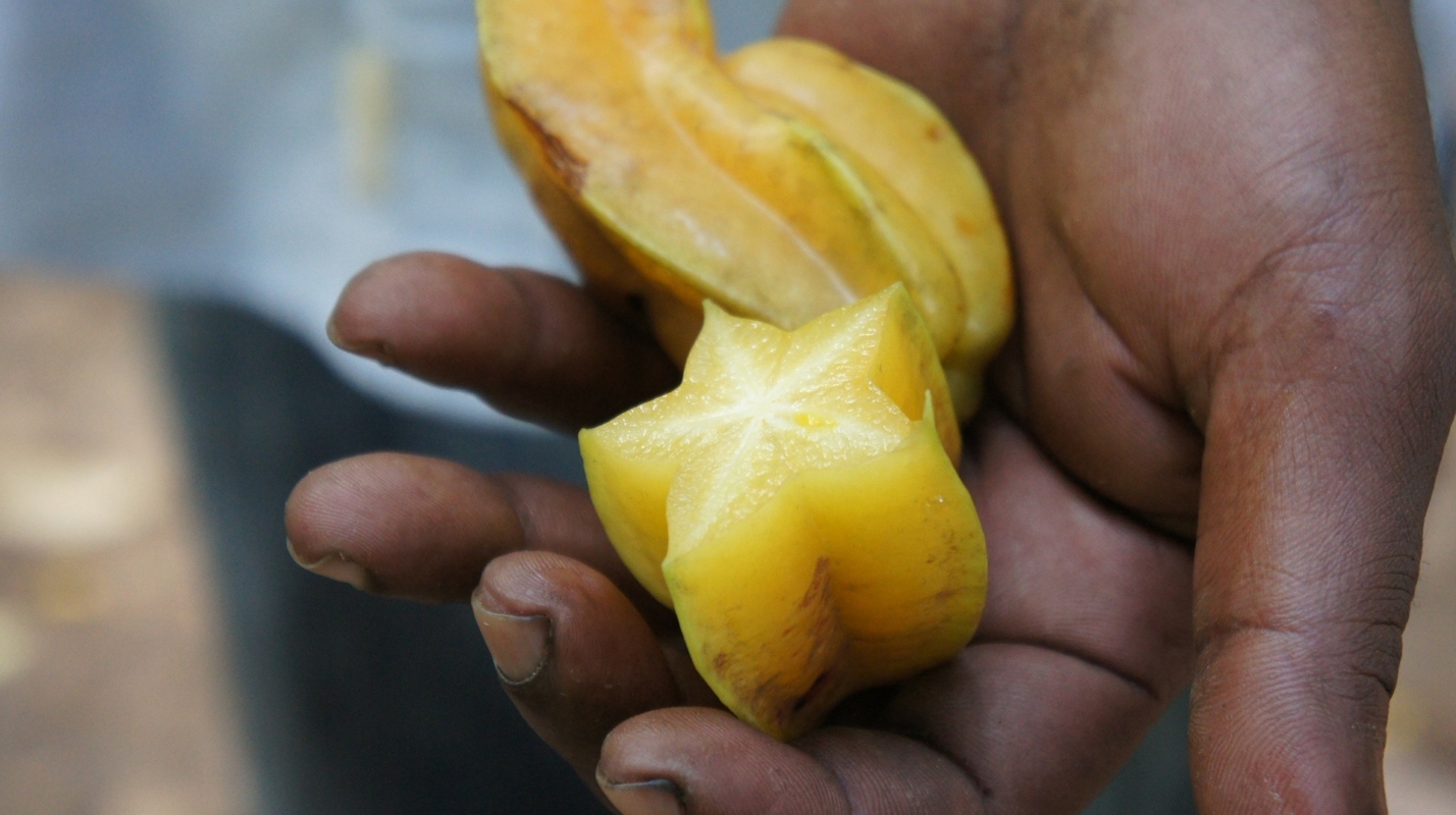 What is Starfruit? – Recette Magazine