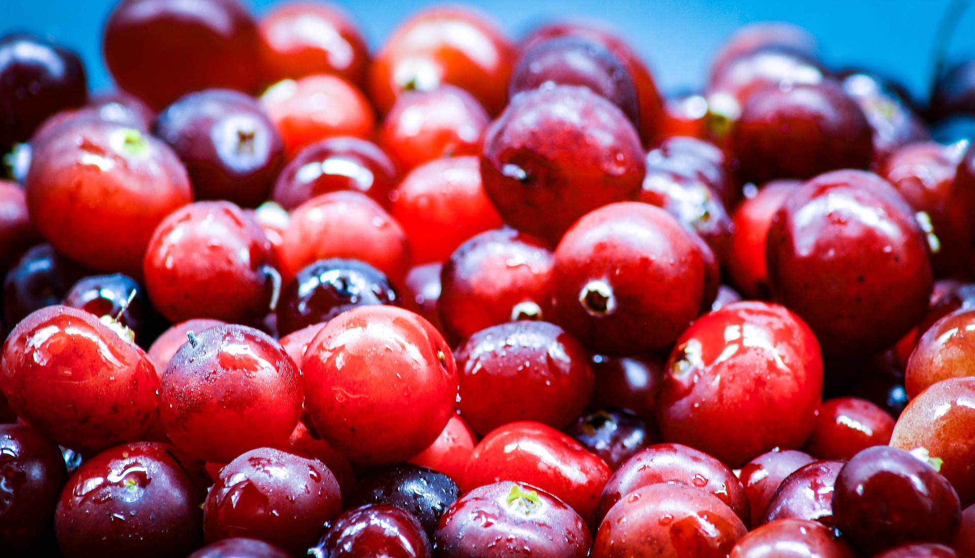 Cranberries: How to Use These Ruby Red Gems – Recette Magazine