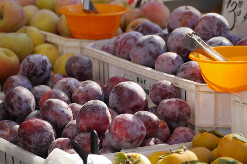 Plumcots vs. Pluots: What’s the Difference? – Recette Magazine