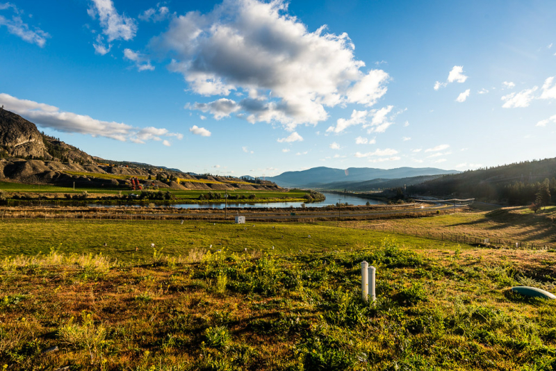 A Beginners Guide to Kansas Wine – Recette Magazine