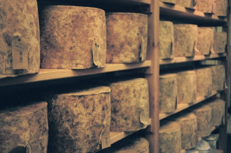 Casu Martzu: A Cheese Unlike Any Other – Recette Magazine