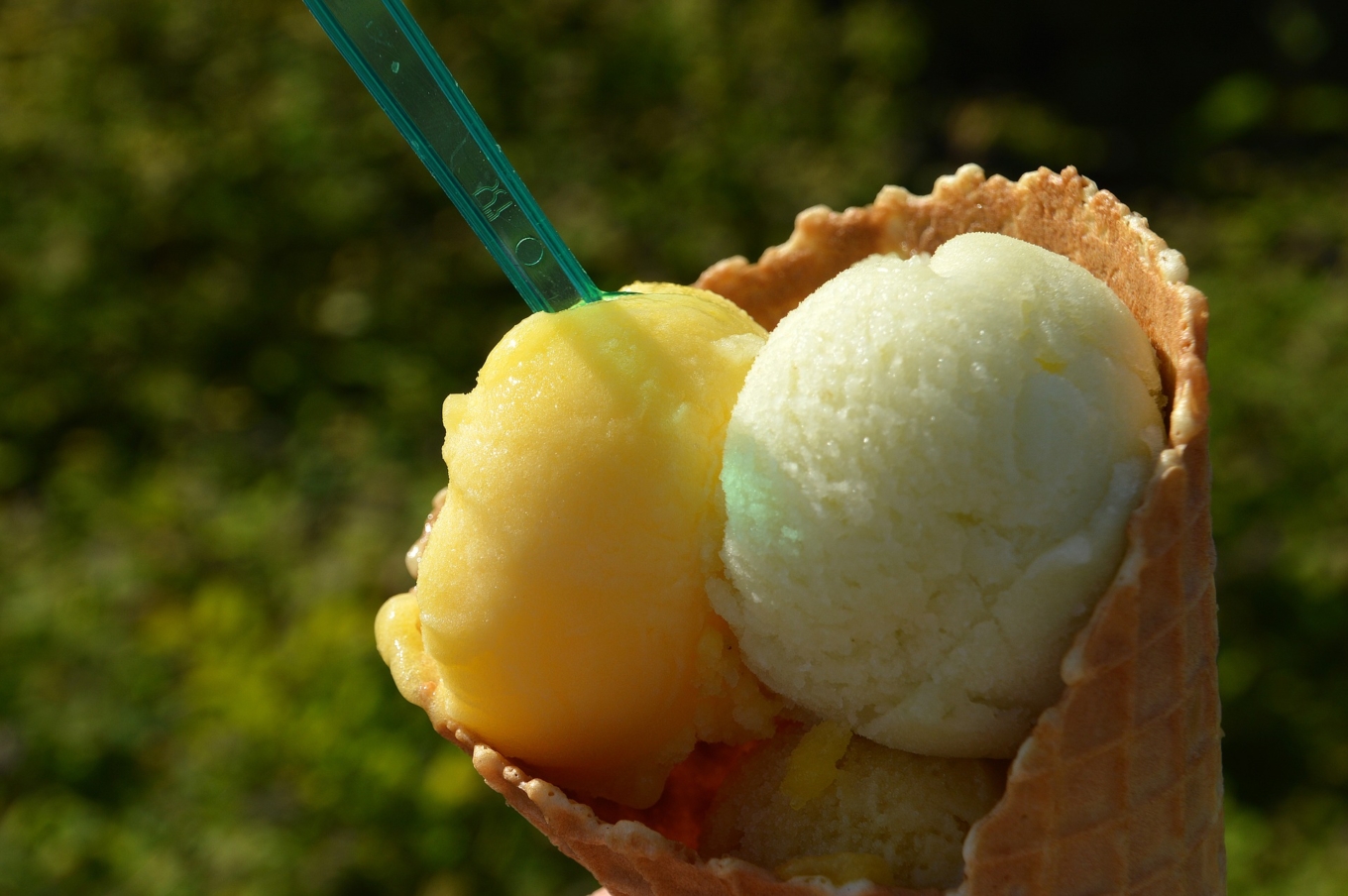 Getting to Know Sorbet – Recette Magazine