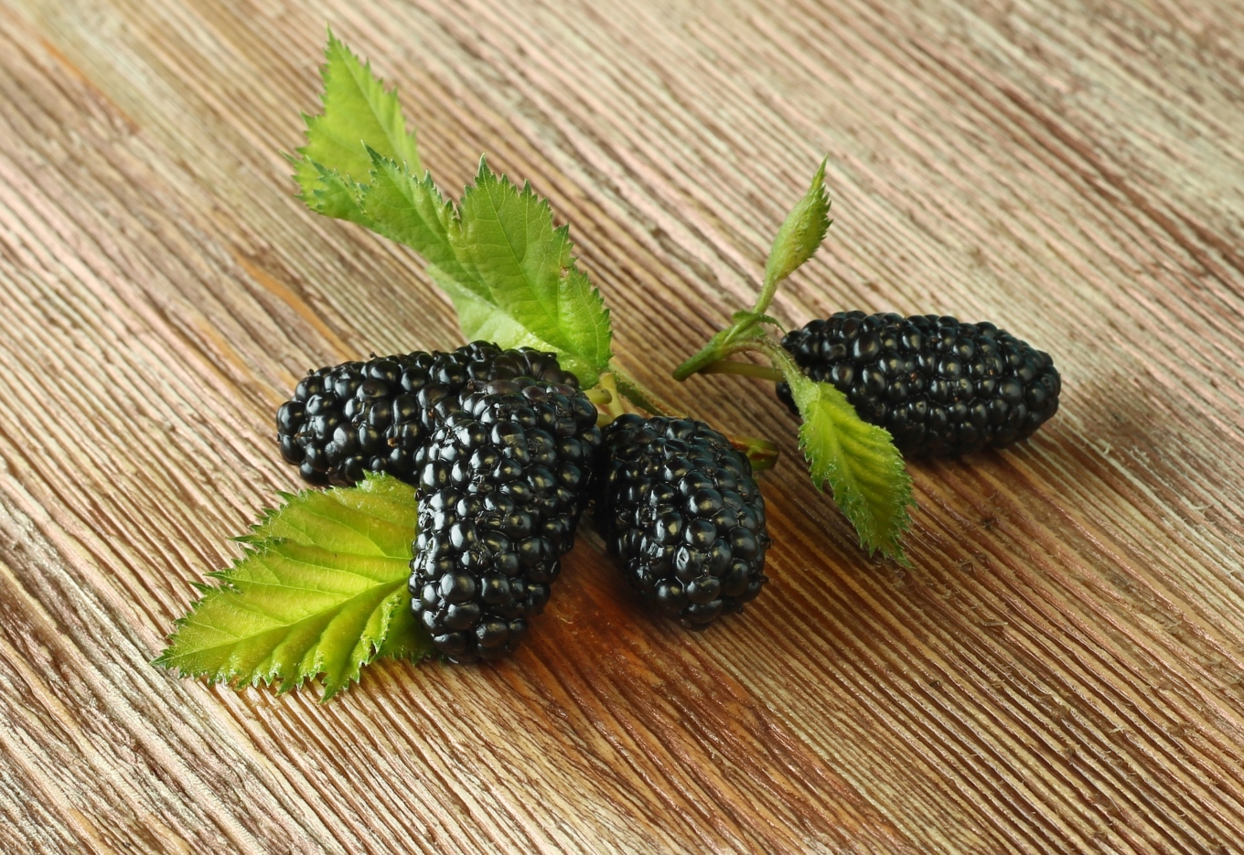 What To Do With Mulberries – Recette Magazine
