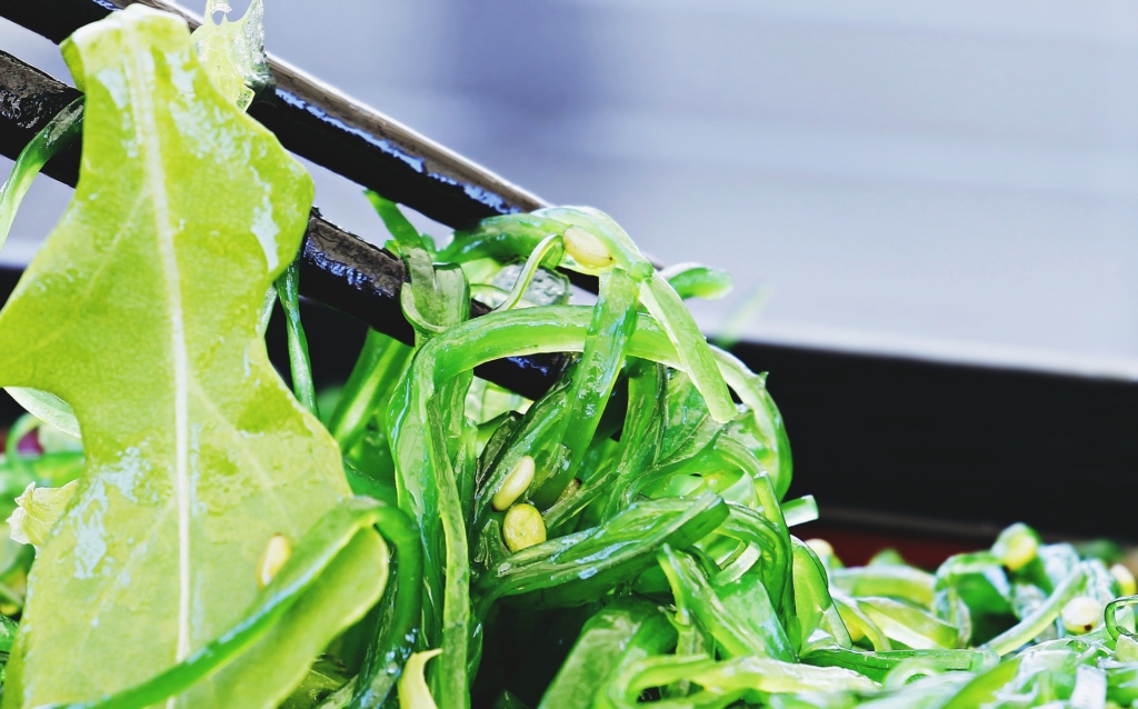 All About Wakame: The Oceanic Delight – Recette Magazine