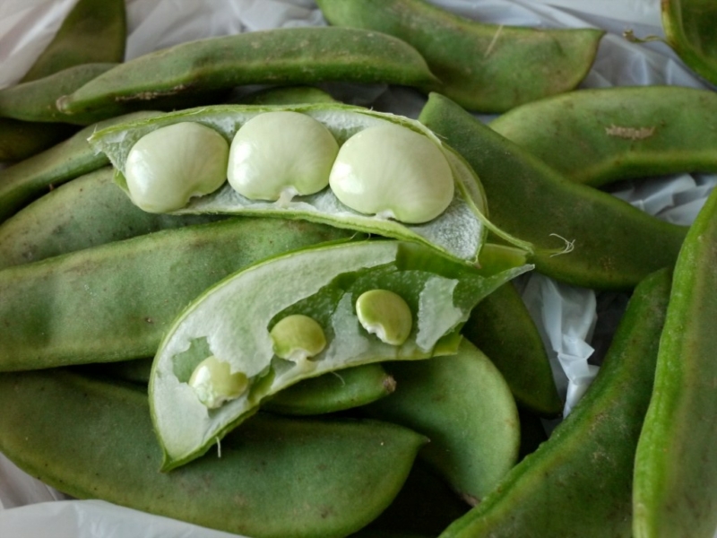 Lima Beans: The Buttery Peruvian Legume – Recette Magazine