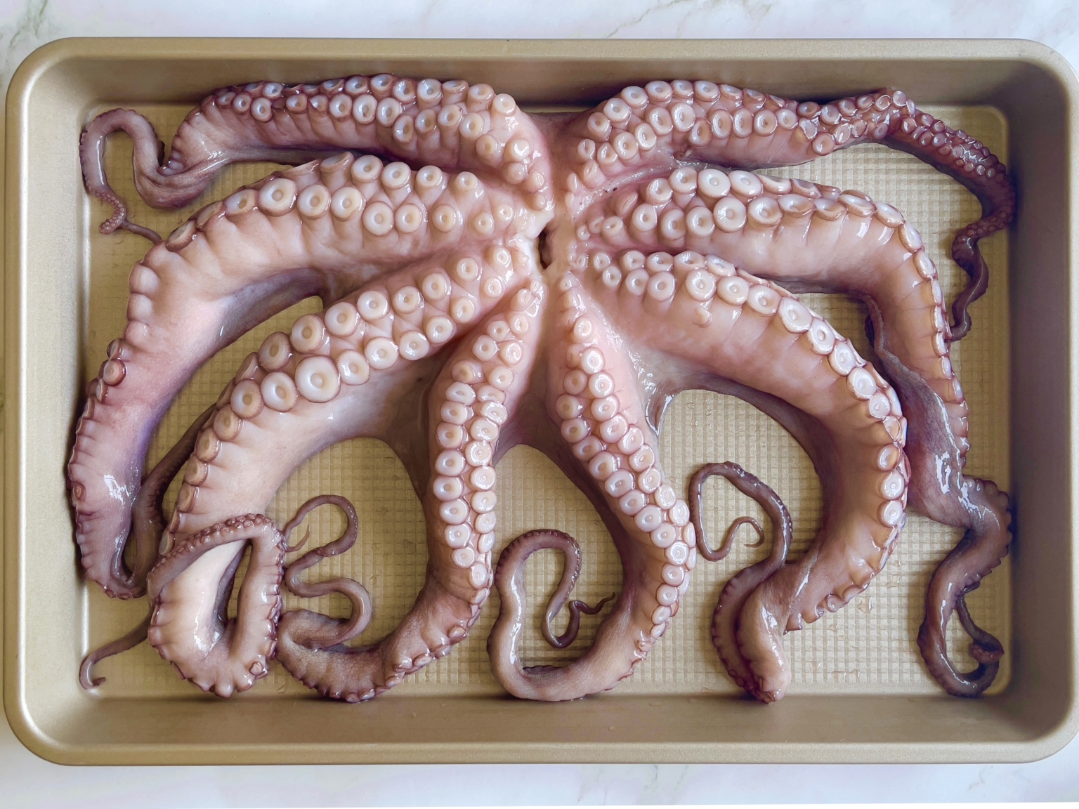 How to Sous Vide Octopus – Recette Magazine