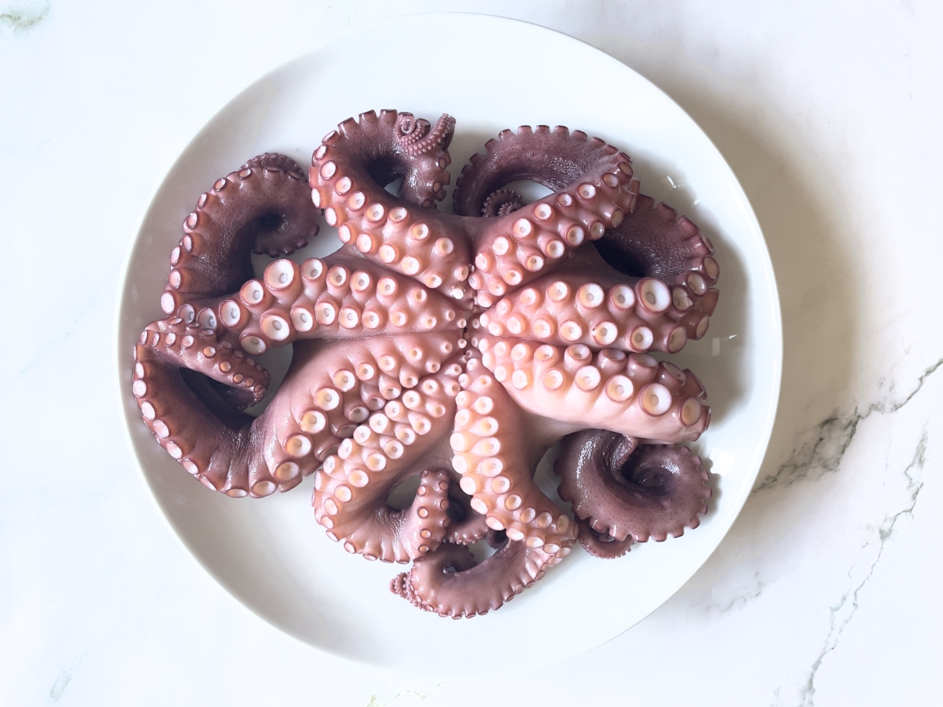 How to Sous Vide Octopus – Recette Magazine