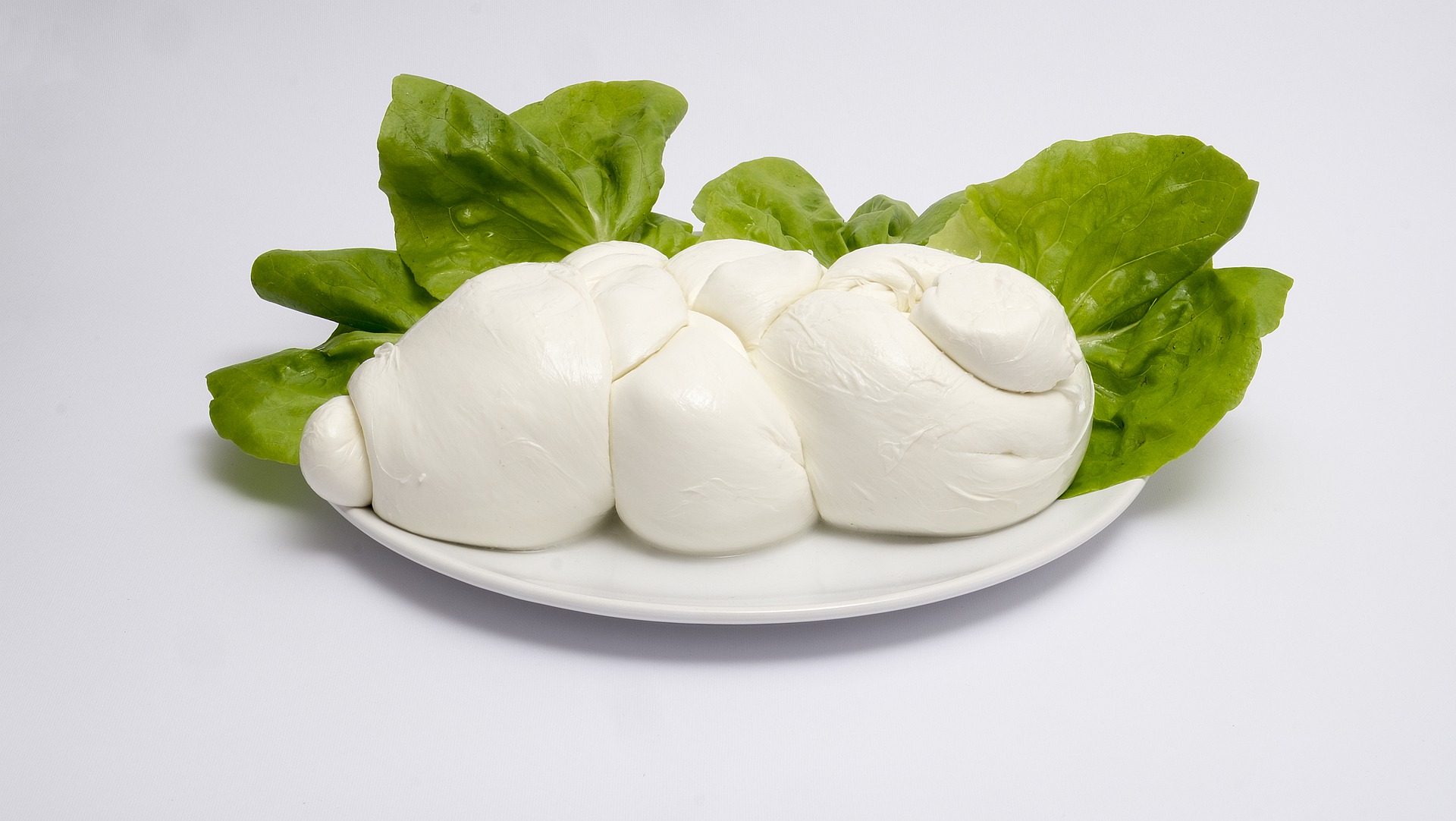 Buffalo Mozzarella: The Richest Dairy Experience – Recette Magazine