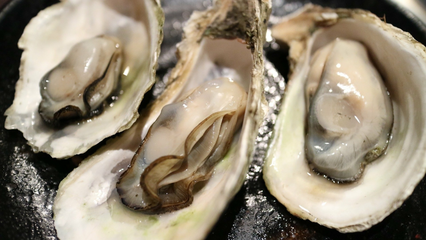 Oysters: The Luxurious Shellfish – Recette Magazine