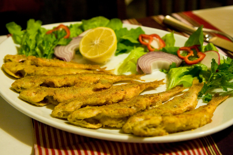 Bluefish: A Taste of the Sea – Recette Magazine