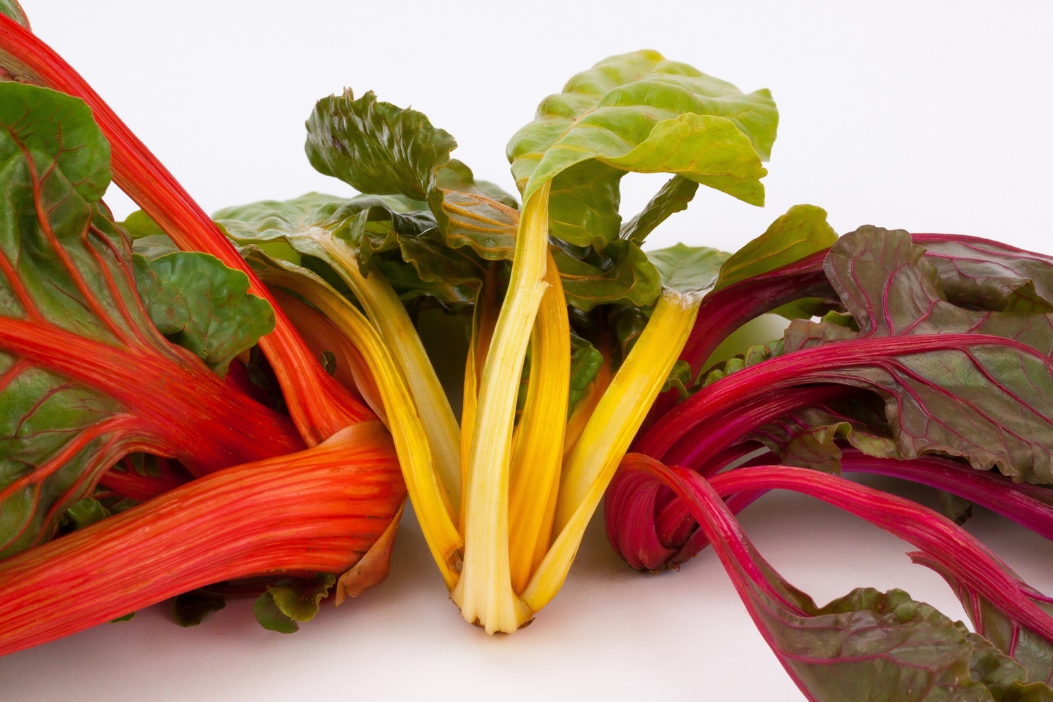 Decoding Chard: From Rainbow to Swiss – Recette Magazine