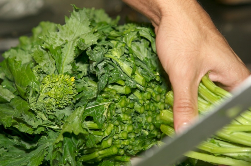 Broccolini vs. Broccoli Rabe – Recette Magazine