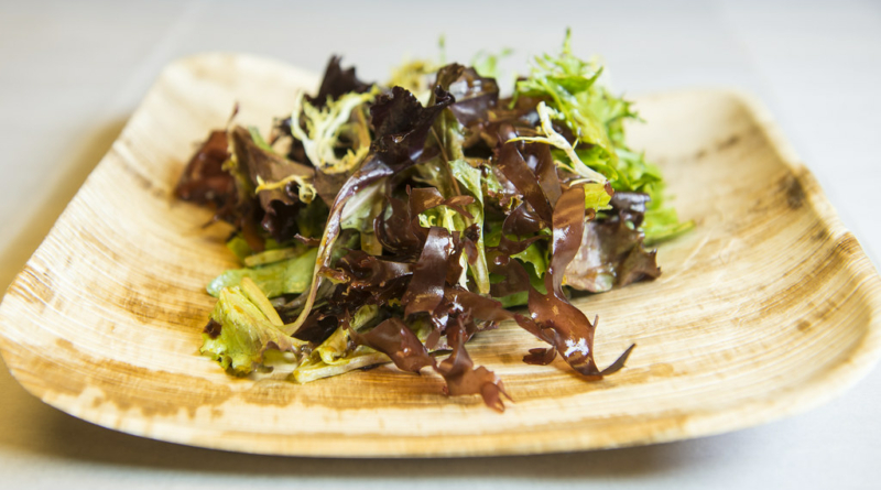 Dulse Seaweed: The Bacon of the Ocean – Recette Magazine