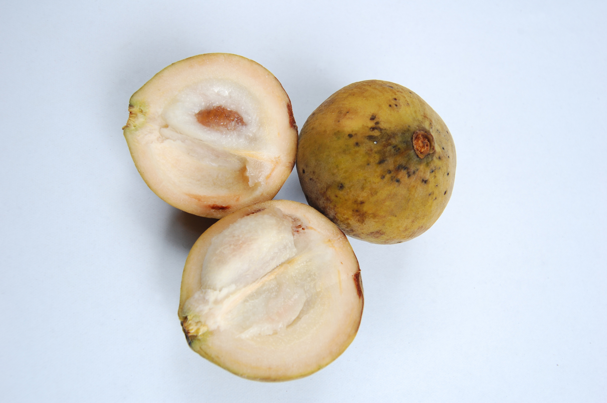 Santol: A Sweet and Cottony Treat – Recette Magazine