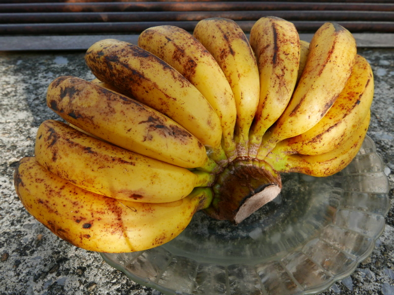 The Wide World of Banana Varieties – Recette Magazine