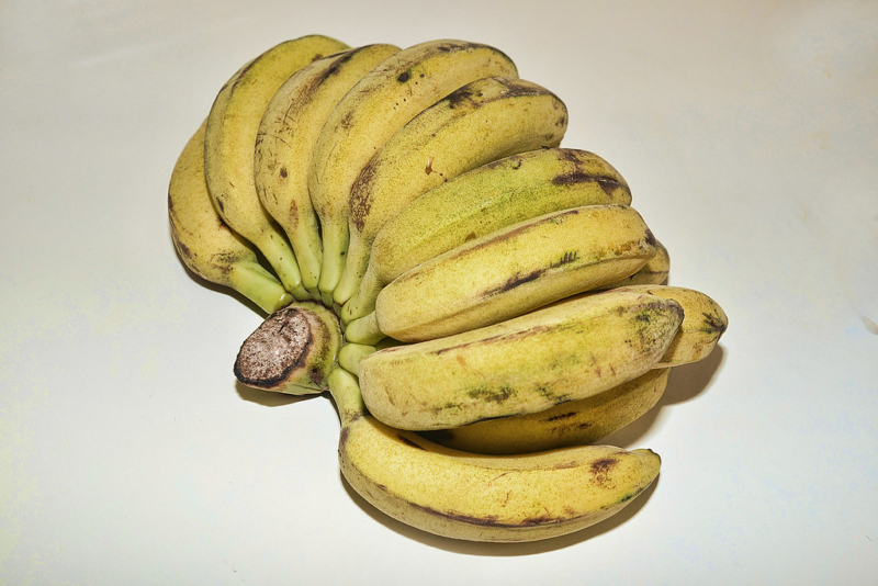 The Wide World of Banana Varieties – Recette Magazine