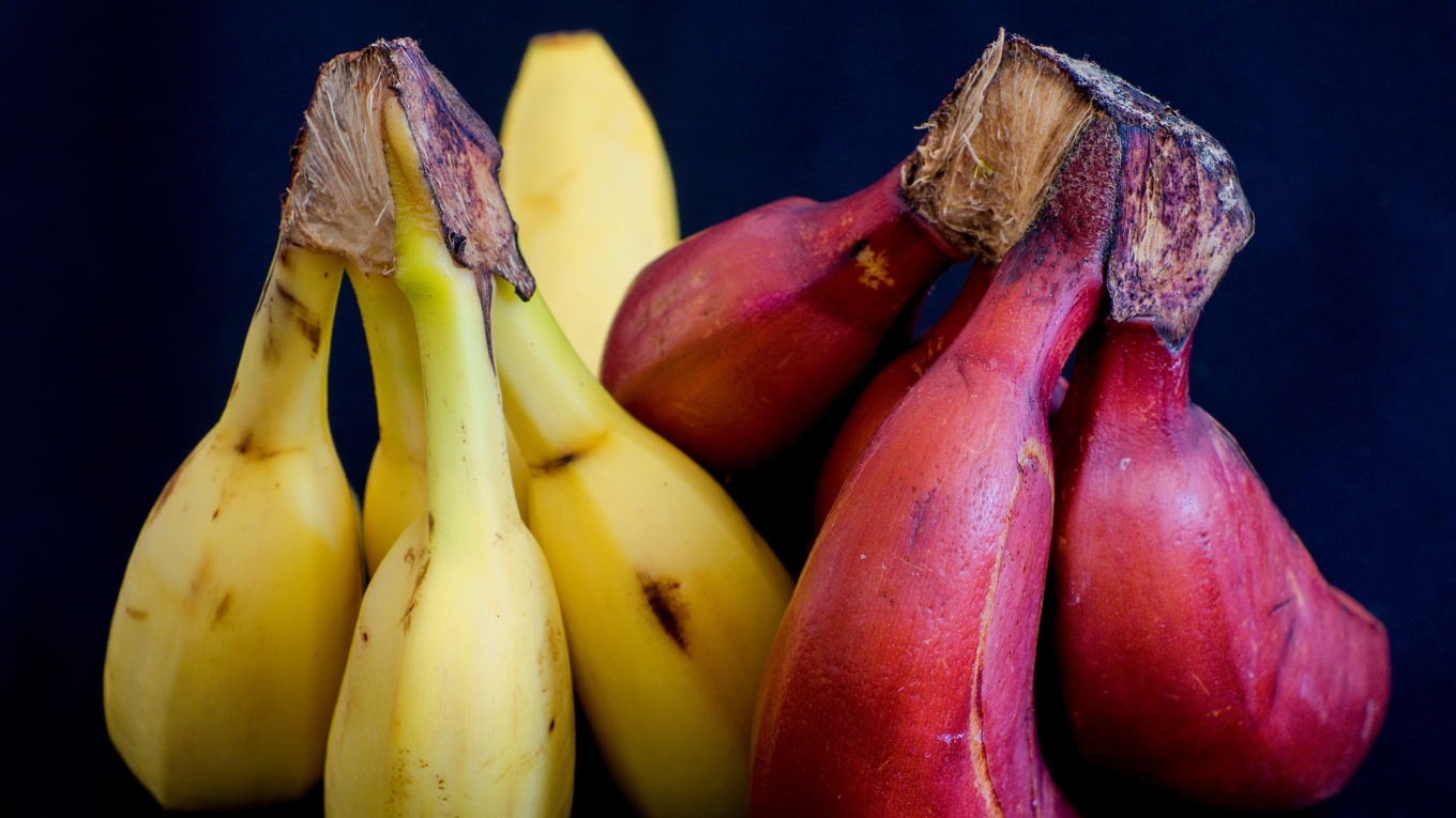 The Wide World of Banana Varieties – Recette Magazine