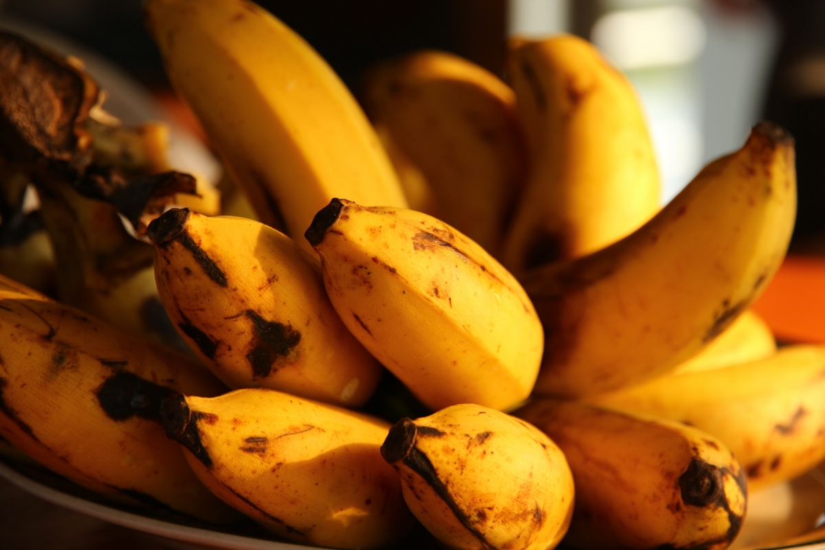 The Wide World of Banana Varieties – Recette Magazine