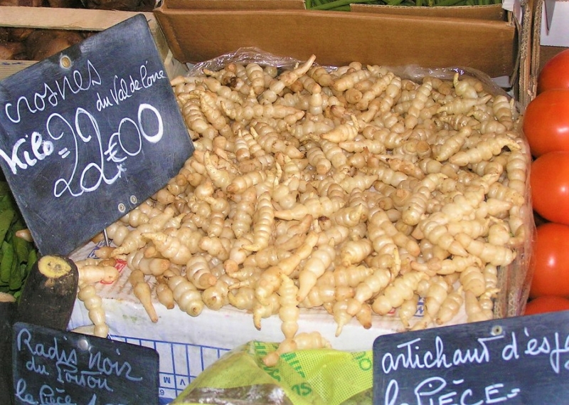 Crosne: The Tiny Twisted Tuber – Recette Magazine
